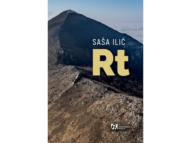 Saša Ilić, Rt