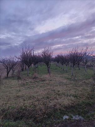 Velika Moštanica,glavna ul.Prvi maj,33,6ari,168000
