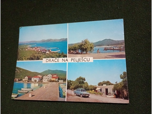 Drače na Pelješcu