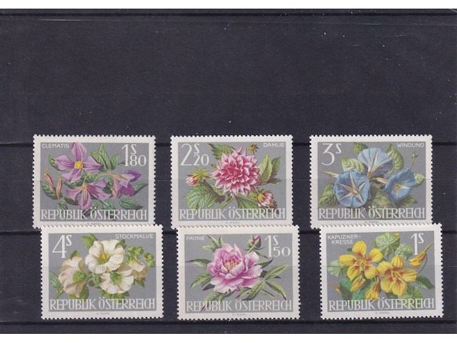 Austrija Flora 1964