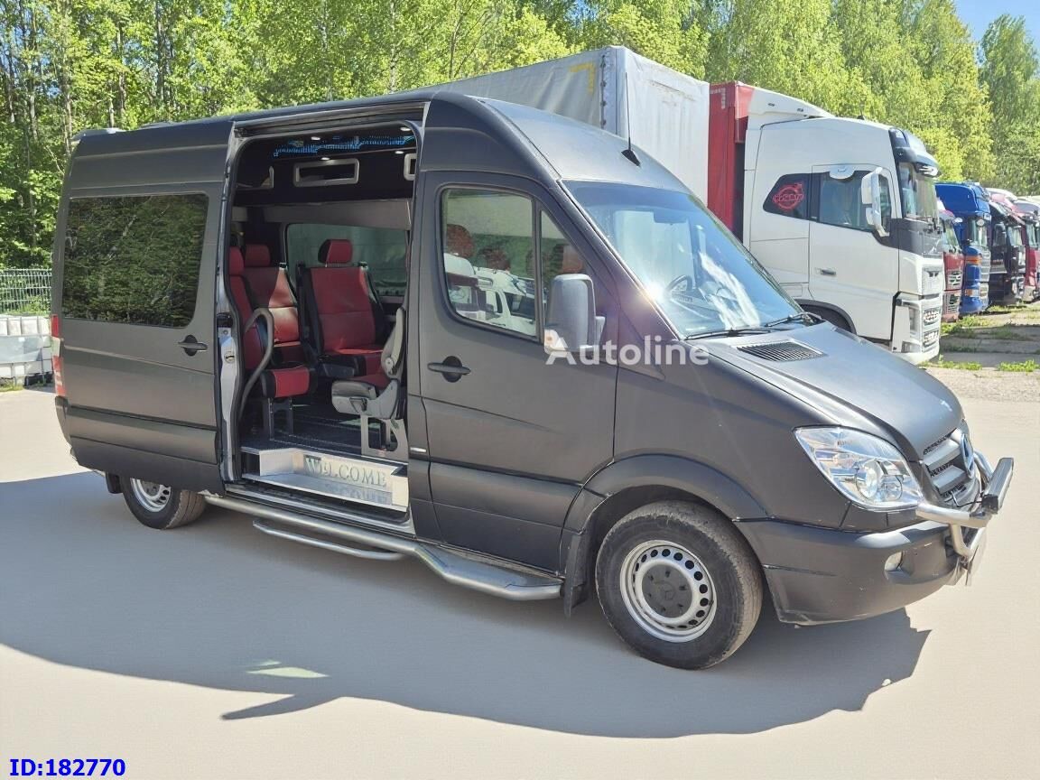 Mercedes-Benz Sprinter 319 VIP Euro5 putnički minibus
