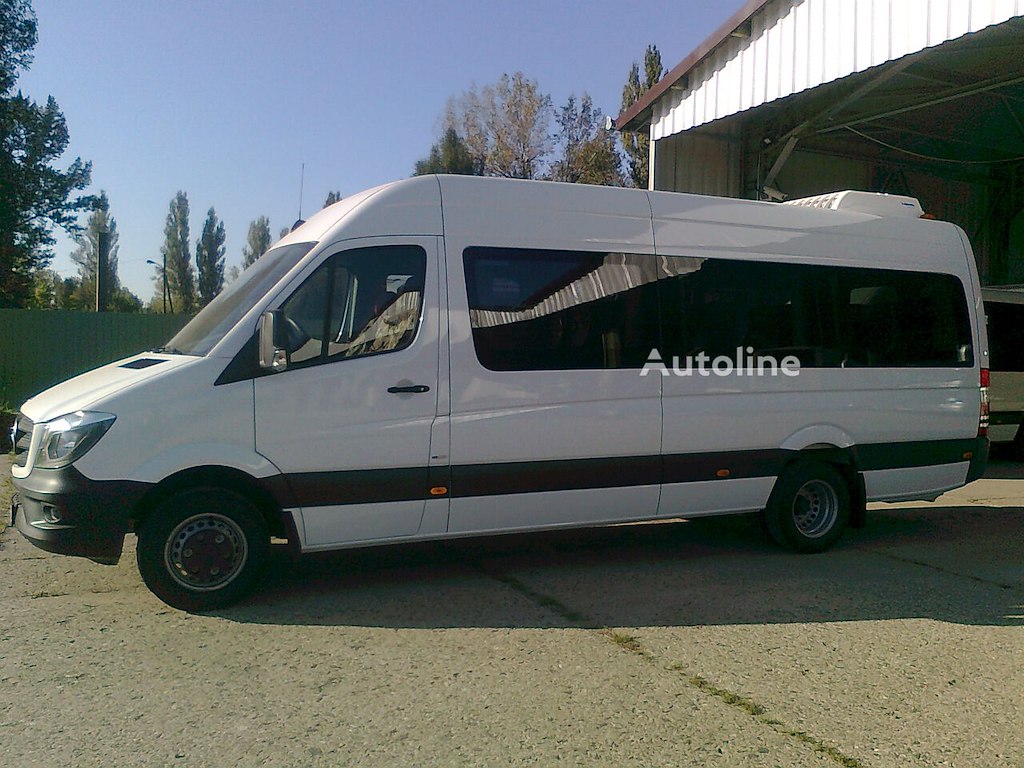 Mercedes-Benz Sprinter 519 putnički minibus