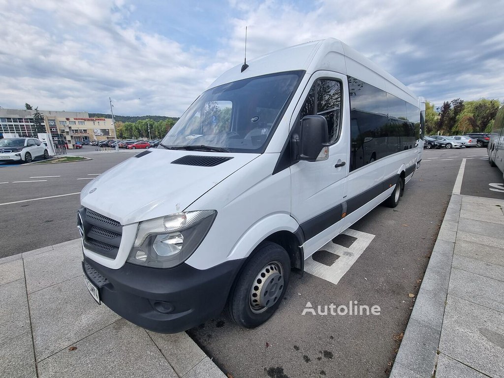 Mercedes-Benz Sprinter 516 putnički minibus
