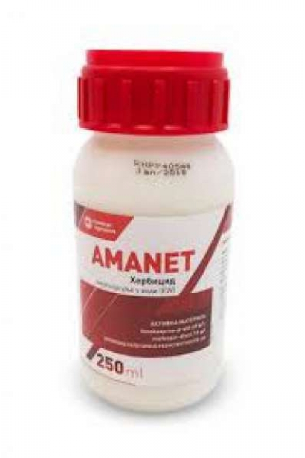 AMANET 250ML
Šifra: 2357 JM: KOM