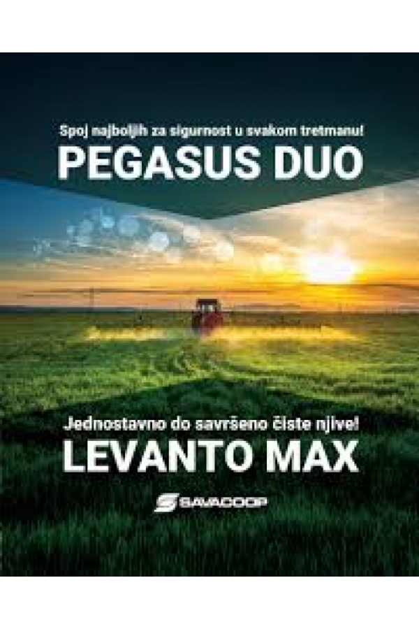 PEGASUS DUO 1/1
Šifra: 850 JM: LIT