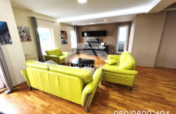 Penthouse na Lionu, Đevđelijska ID#3601