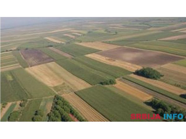 Njiva od 4 i 1.23ha u Sabcu