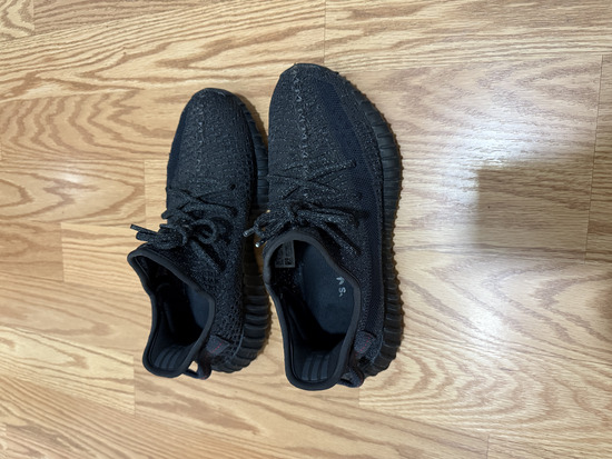 Adidas yeezy br 39.5