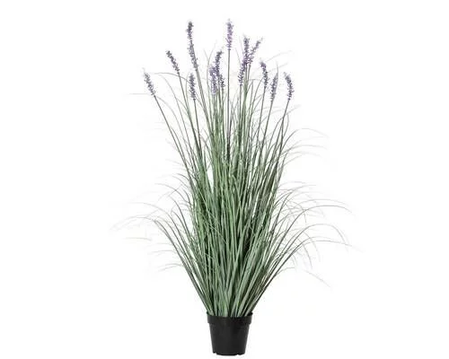 LAVANDA 120 cm