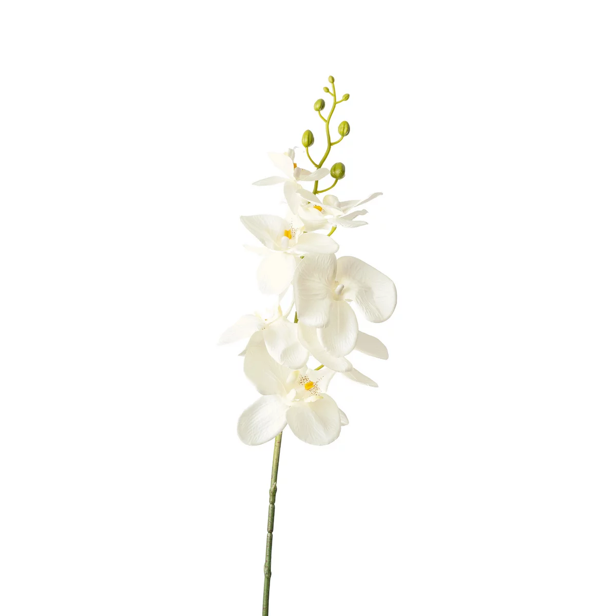 ORHIDEJA 86 cm