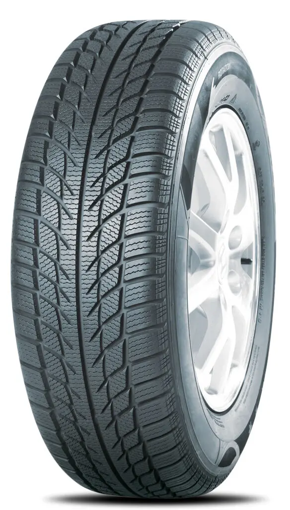 Westlake Zimska guma 205/55 R16 SW608 91H