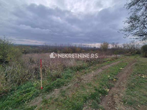 Plac na prodaju u Slankamenu, 900m niže vinarije Šapat (južna strana)