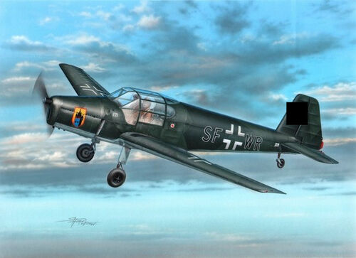 Special Hobby 48120 Bücker Bü 181 Bestman