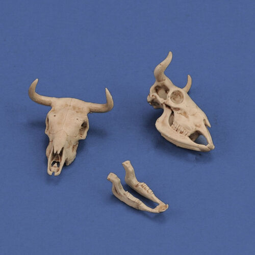 Royal Model di R. Reale 1051 Cow Skulls