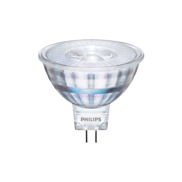 PHILIPS LED Sijalica 35W MR16 GU5.3 4000K PS787