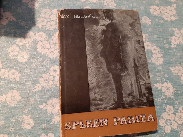 99 SPLEEN PARIZA - Charles Baudelaire