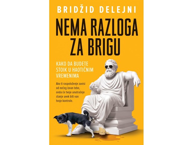 NEMA RAZLOGA ZA BRIGU - Bridžit Delejni