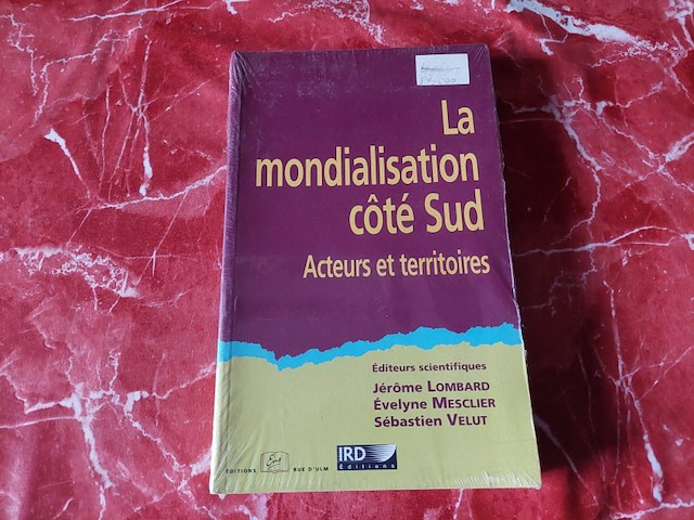 LA MONDIALISATION CÔTÉ SUD - ACTEURS ET TERRITOIRES