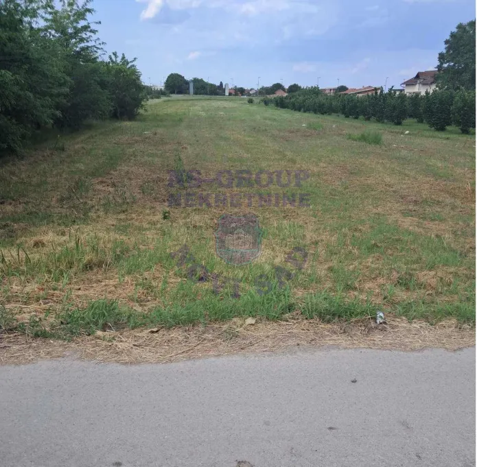 Klisa - Gornje livade, Novi Sad