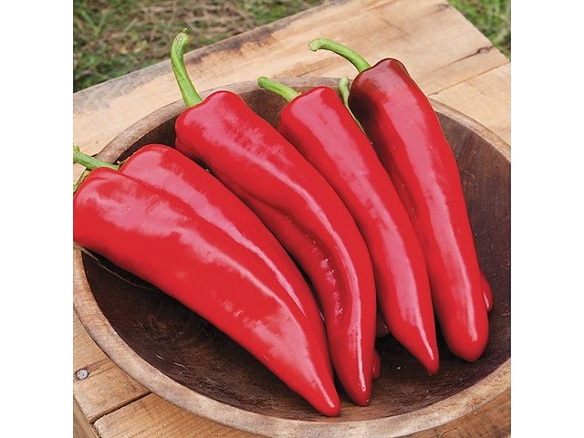 Paprika `Anaheim` chili, čili - 20 semena