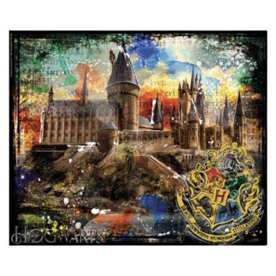 Zidna slika - Harry Potter, Hogwarts, 60x50 cm