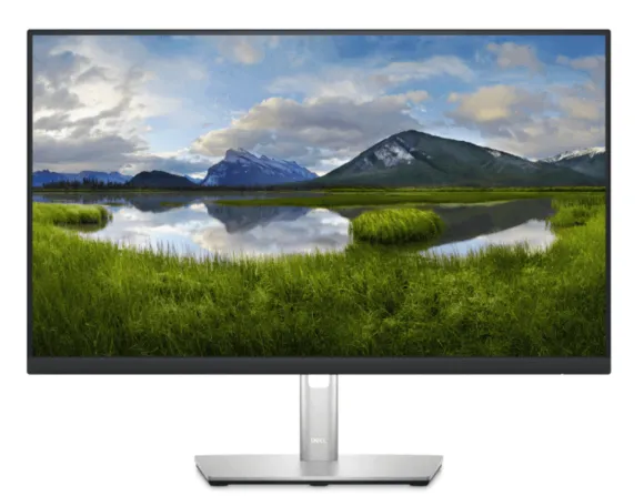 Dell Monitor P2422H 23,8" FHD / IPS / 60 Hz