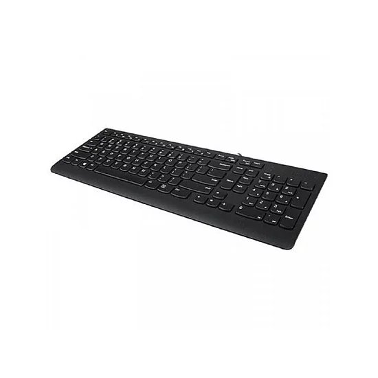 LENOVO TASTATURA 300 USB US ENGLISH 103P BLACK (GX30M39655) CENA