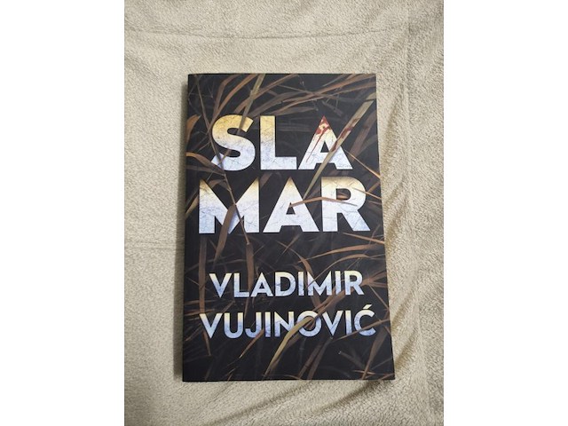 Slamar,Vladimir Vojinović