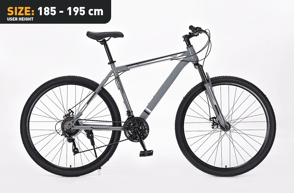 Xplorer MTB bicycle MATTERHORN Gray 29"