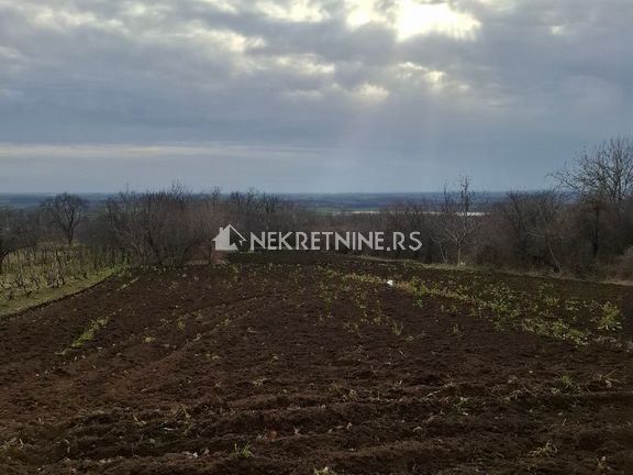 Prodajem plac u Slankamenackim vinogradima potes Jandra