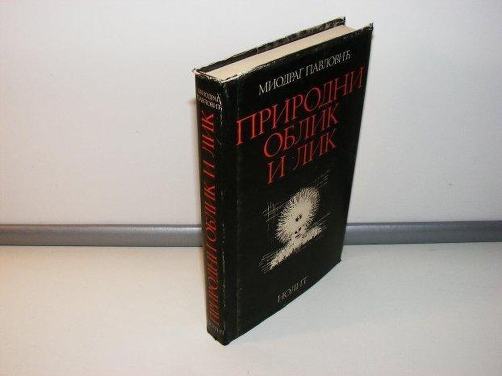 Prirodni oblik i lik (likovni ogledi) m. pavlovic1984 nolitstanje vrlo