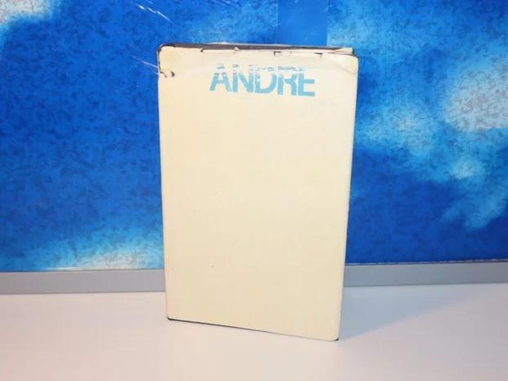 Dnevnik andre žid1982 nolittvrd povezzastitni omot je ostecendrugih