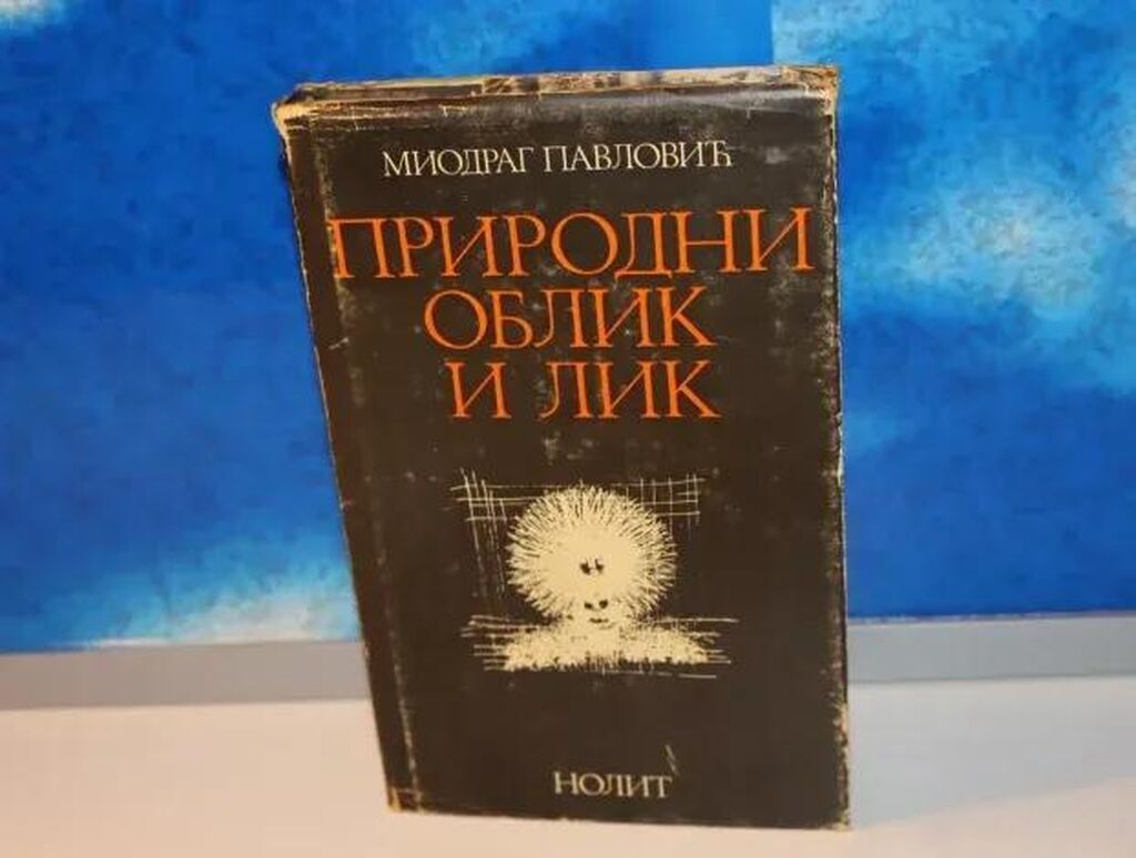 Prirodni oblik i lik miodrag pavlovićlikovni ogledi1984 nolittvrd