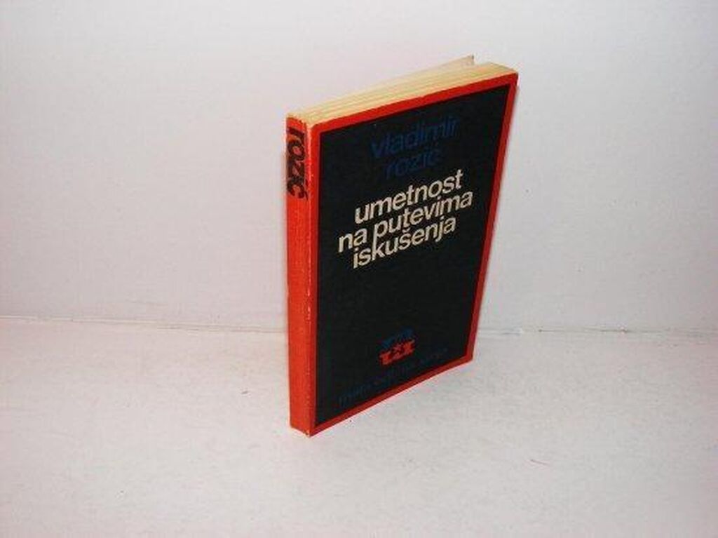 Umetnost na putevima iskušenja, ogledi o likovnoj umetnosti vladimir