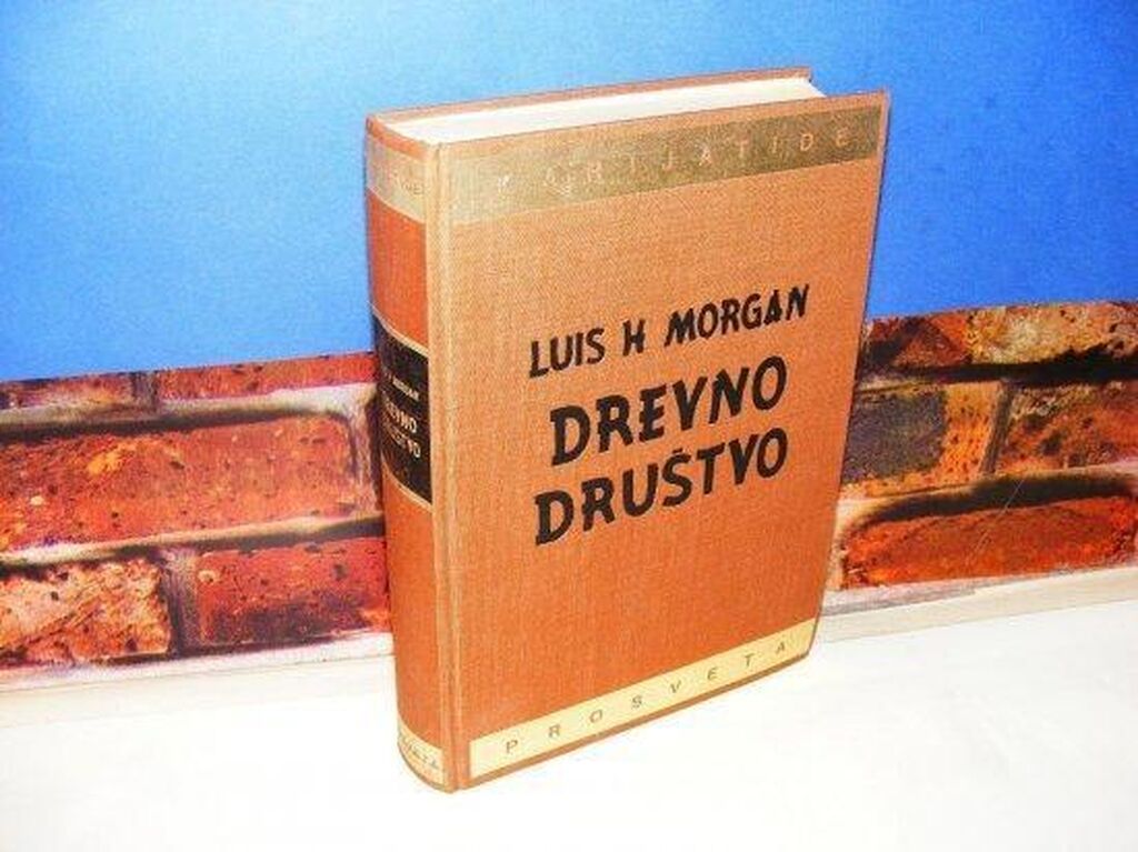 DREVNO DRUŠTVO Luis H. Morgan1981 prosveta tvrd povez 24.5 cm stanje
