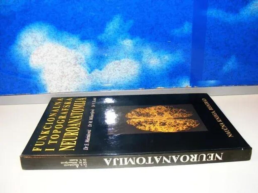 Funkcionalna i topografska neuroanatomija dr s. marinković1989 naučna