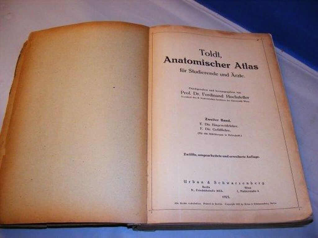 Toldt, anatomischer Atlas fü r Studierende und Ä rzte - Zweiter Band