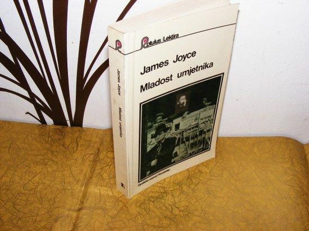 MLADOST UMJETNIKA Džejms DžojsGrafički zavod Hrvatske,1982. prevod