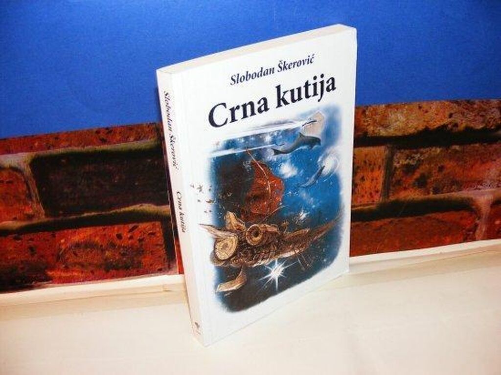 Crna kutija slobodan škerović edicija tardis 2010 mek povez stanje