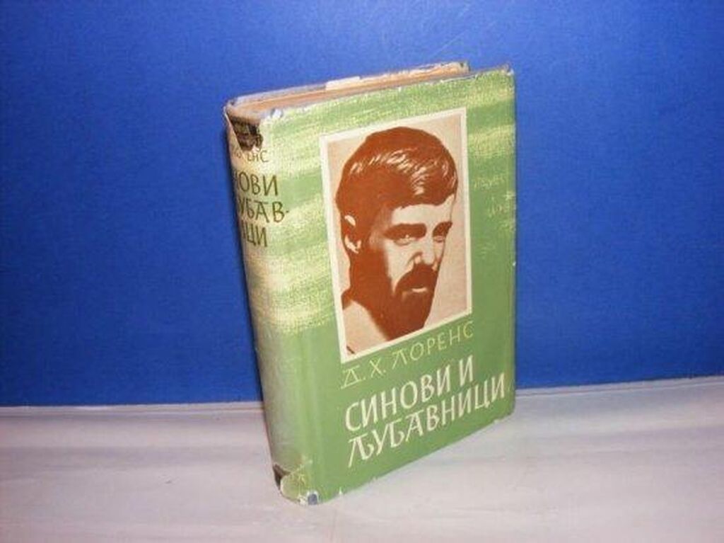 SINOVI I LJUBAVNICI, D. H. Lorens Prosveta Beograd 1963. Tvrd povez za