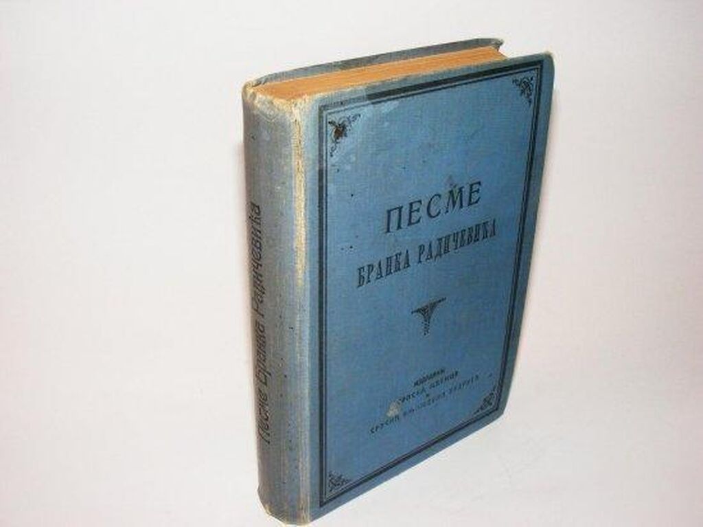 Pesme Branka Radičevića sa pismima njegovim i jednim spisom u