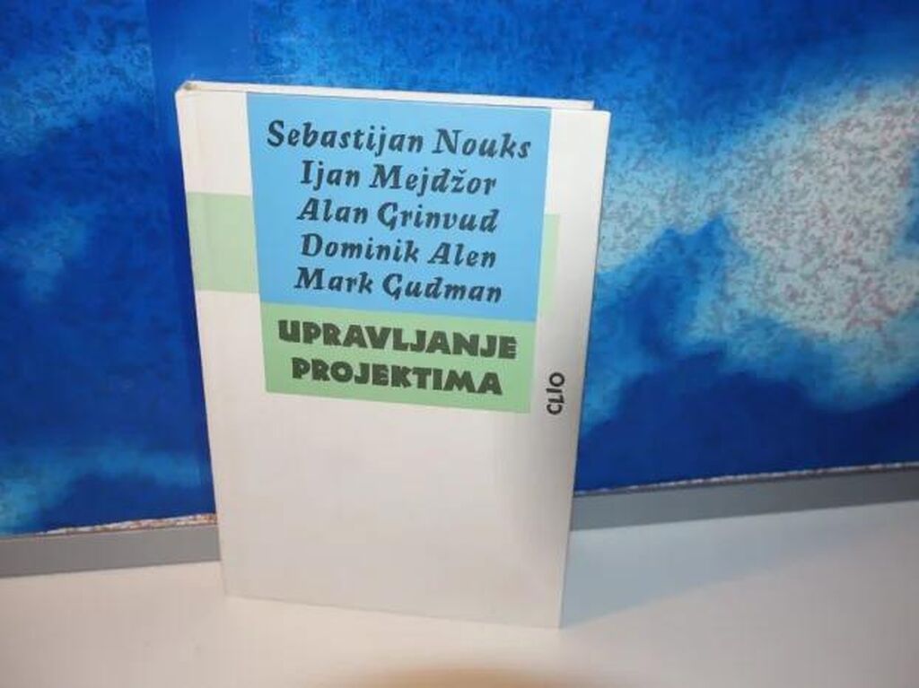 Upravljanje projektima : kako završiti posao na vreme i u skladu sa