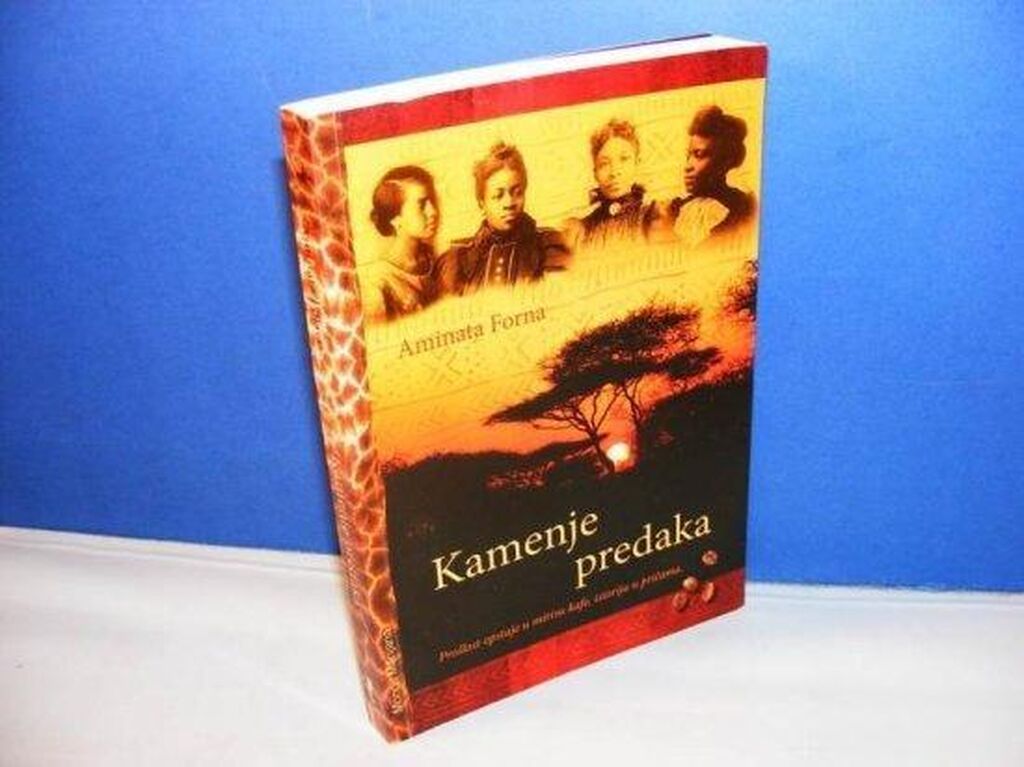 KAMENJE PREDAKA Aminata Forna mono i manjana 2008 mek povez strana 301