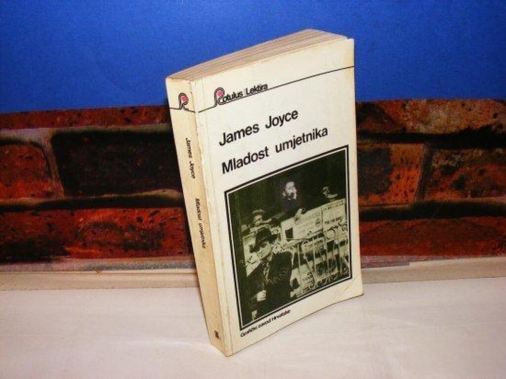 Mladost umjetnika james joyce 1982 gzh mek povez 19 cm ns zadnjem