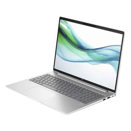 HP ProBook 460 G11 (Pike silver) - Laptop sa WUXGA IPS ekranom