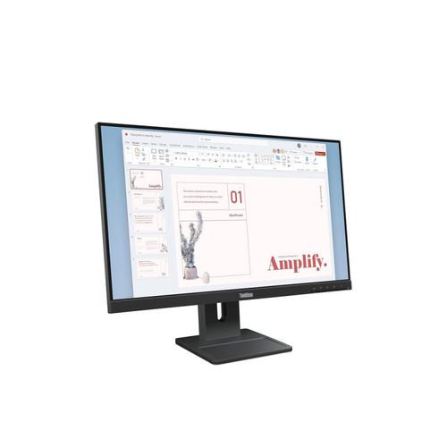 LENOVO ThinkVision E24-40 (Raven Black) FHD IPS Monitor
