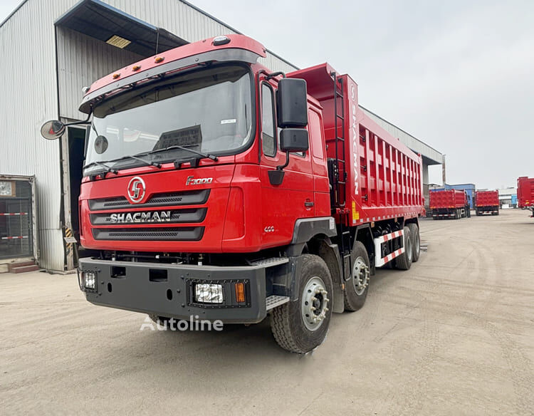 Novi Shacman Dump Truck Shacman F3000 for Sale in Guinea kiper