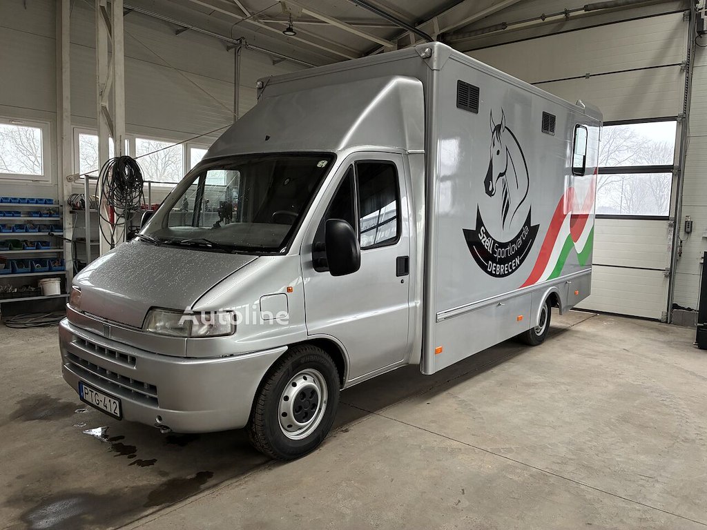 Fiat ducato vozilo za prevoz konja