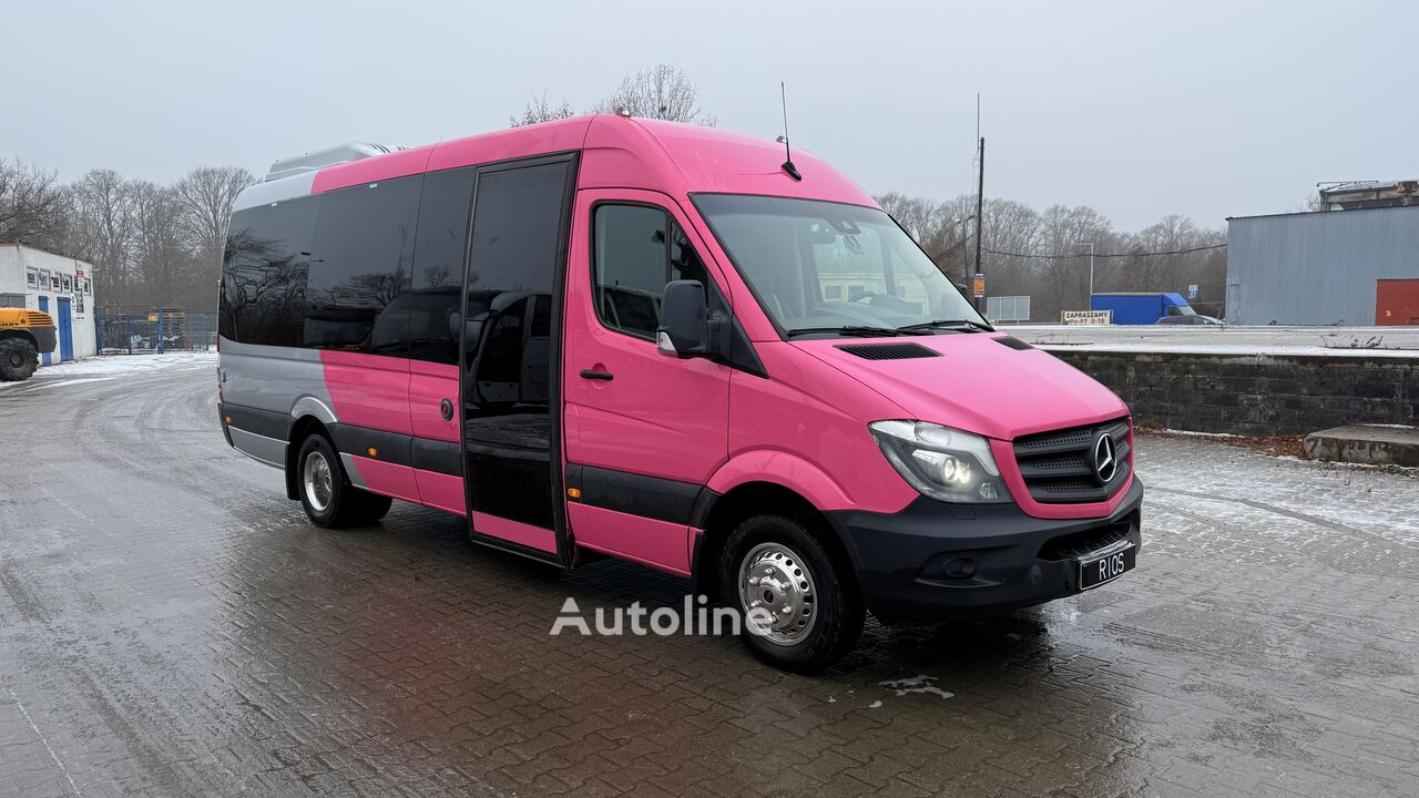 Mercedes-Benz Sprinter 519 putnički minibus