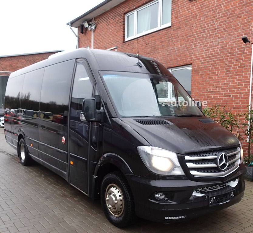 Mercedes-Benz 516 CDI Tourline XL*519*TV*17 Sitze* putnički minibus